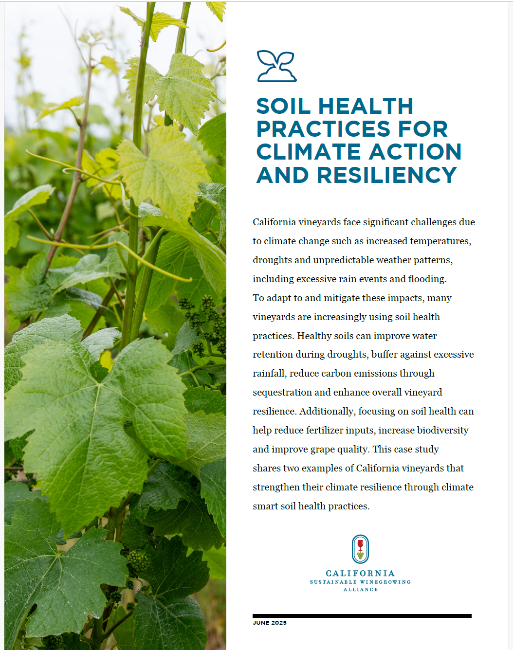 CSWA Resource Library